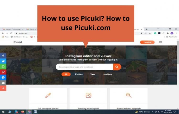 Picuki.com : What is Picuki, How to view a full Instagram profile?